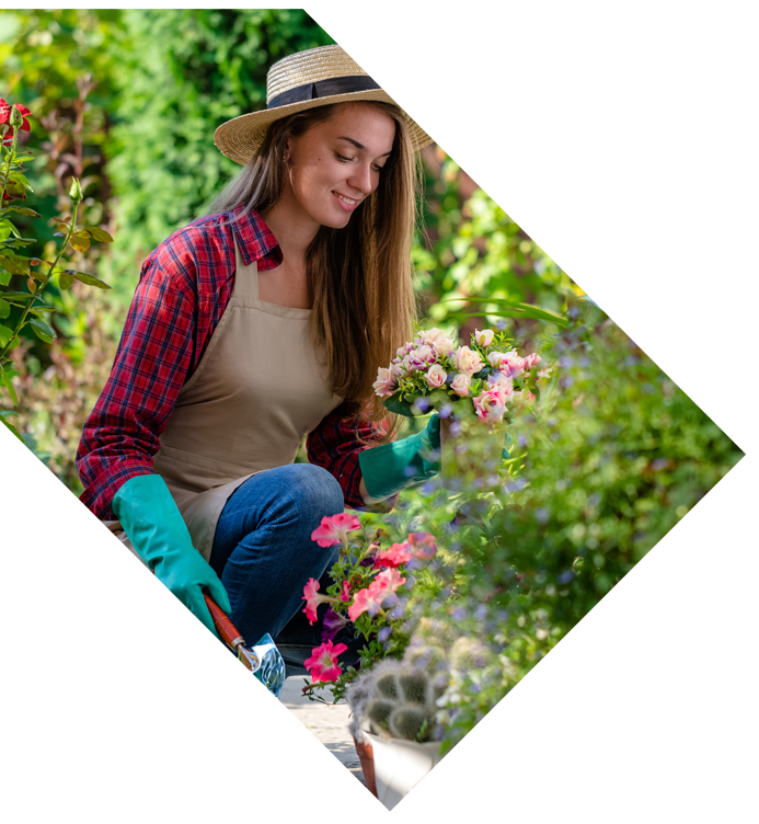 Tree Cutting and Trimming Services Edmonton | David The Tree Guy